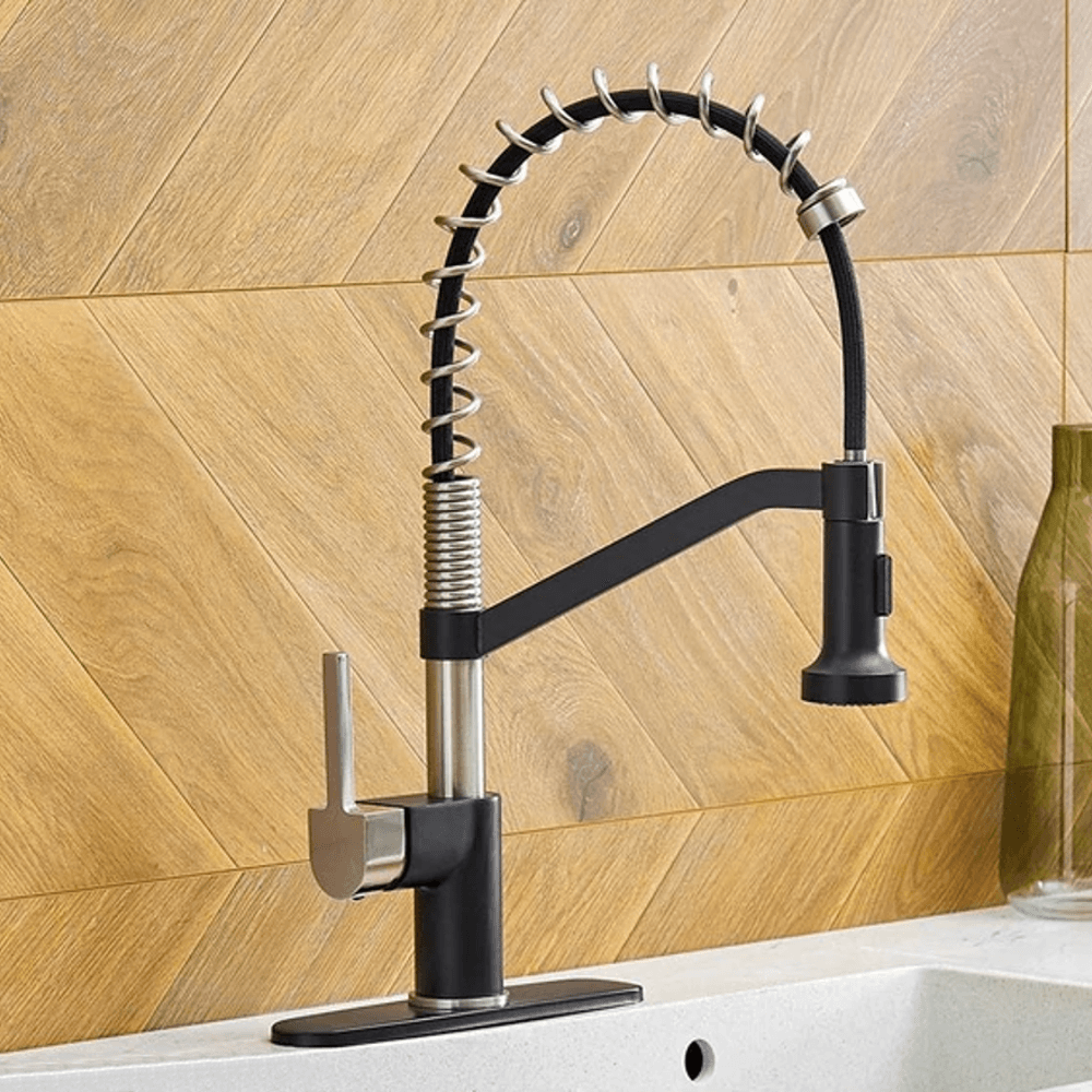 Apollo Single-Hole Kitchen Faucet with Pull-Down Spring Spout ...